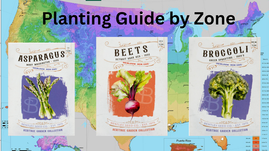 USDA Planting Guide by Zone | Bentley Vegetable Seeds – Bentley Seeds