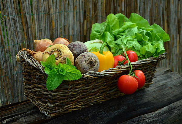 Buy Non-GMO Vegetable, Herb & Flower Seeds | Bentley Seeds
