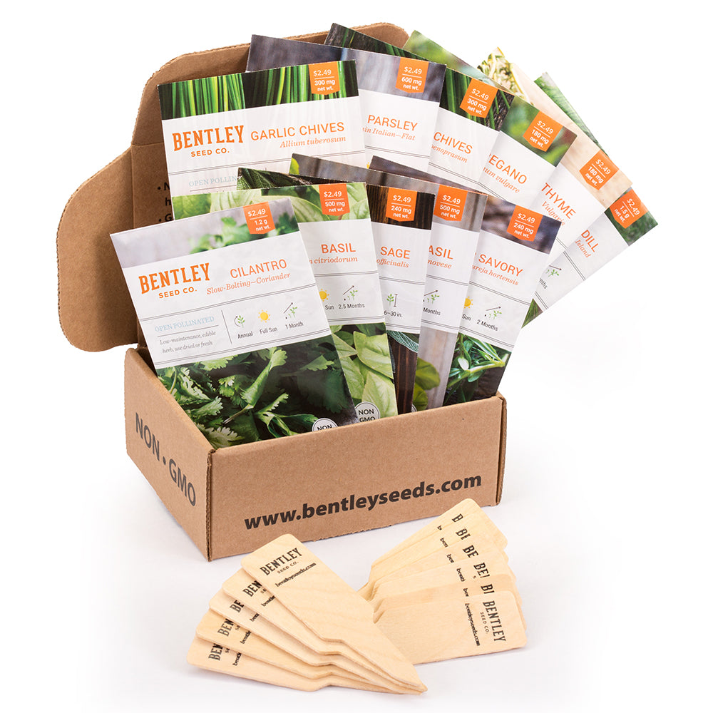 Buy Non-GMO Vegetable, Herb & Flower Seeds | Bentley Seeds