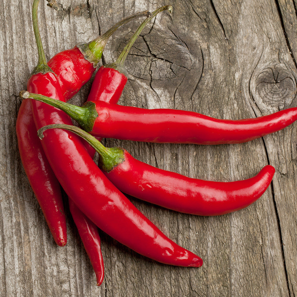 HOT Peppers Seed Packet Kit -Habanero Hungarian Salsa Jalapeño Cayenne ...