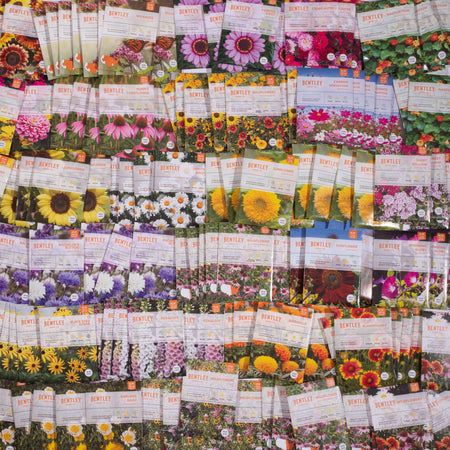 Bulk Seed Packets | Wholesale Vegetable, Herb & Flower Seeds – Bentley ...