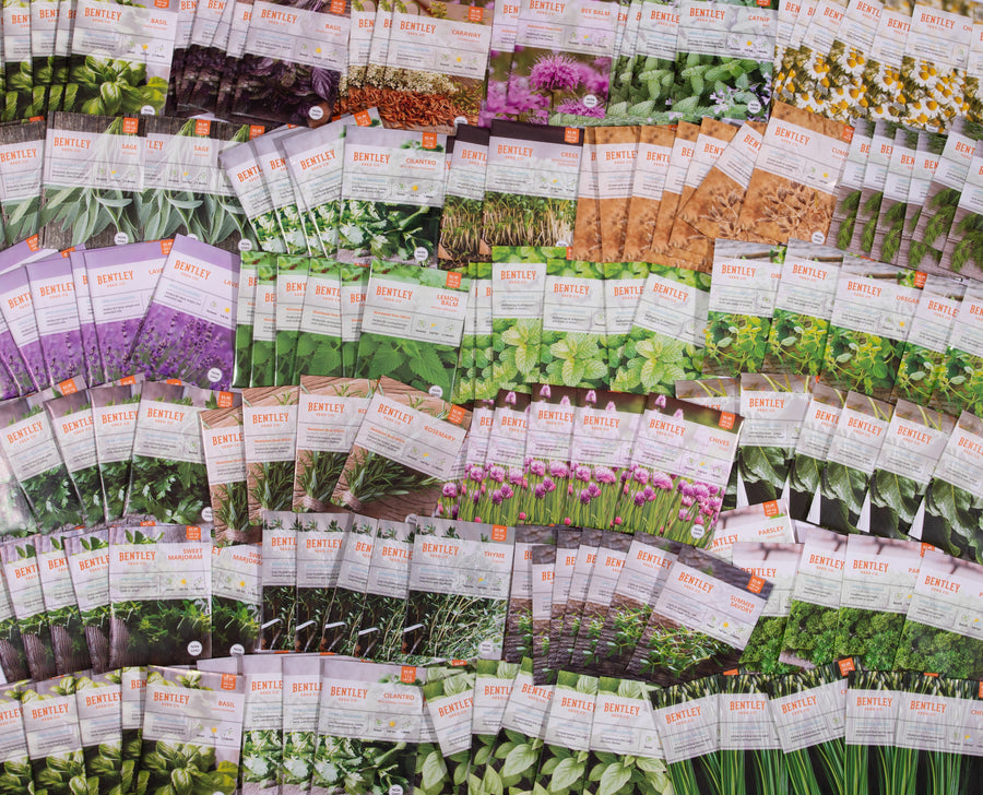 Bulk Seed Packets - Bulk Flower & Vegetable Seed Packets – Bentley Seeds