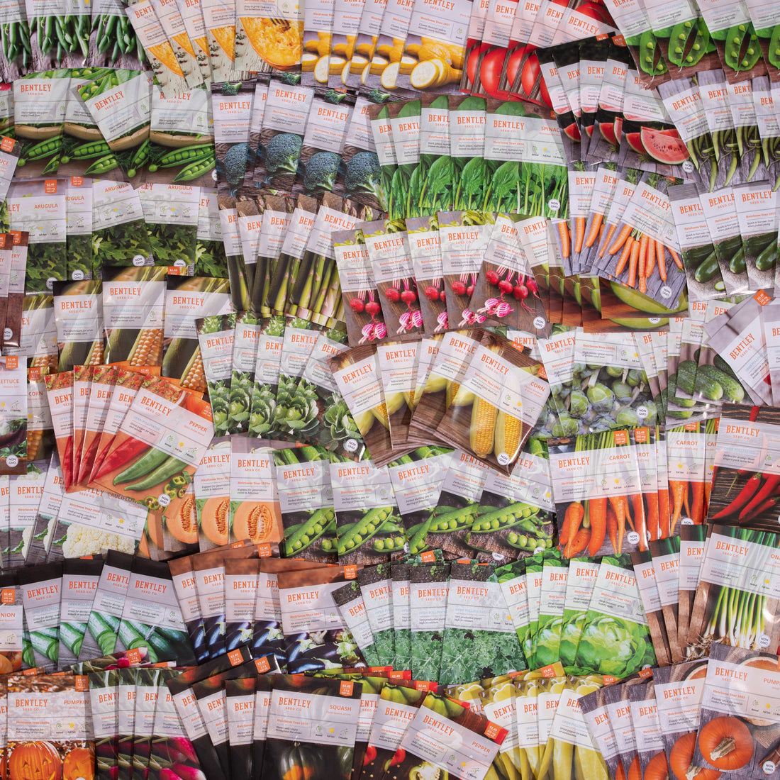 Bulk 250 Piece Vegetable Seed Packets | Bentley Seeds
