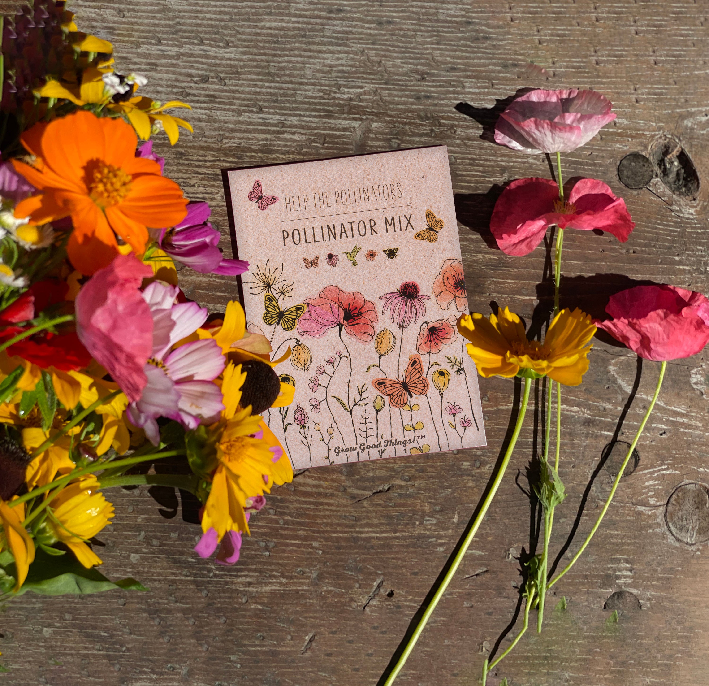 Pollinator Butterfly - Wildflower Mix Seed Packets | Bentley Seeds