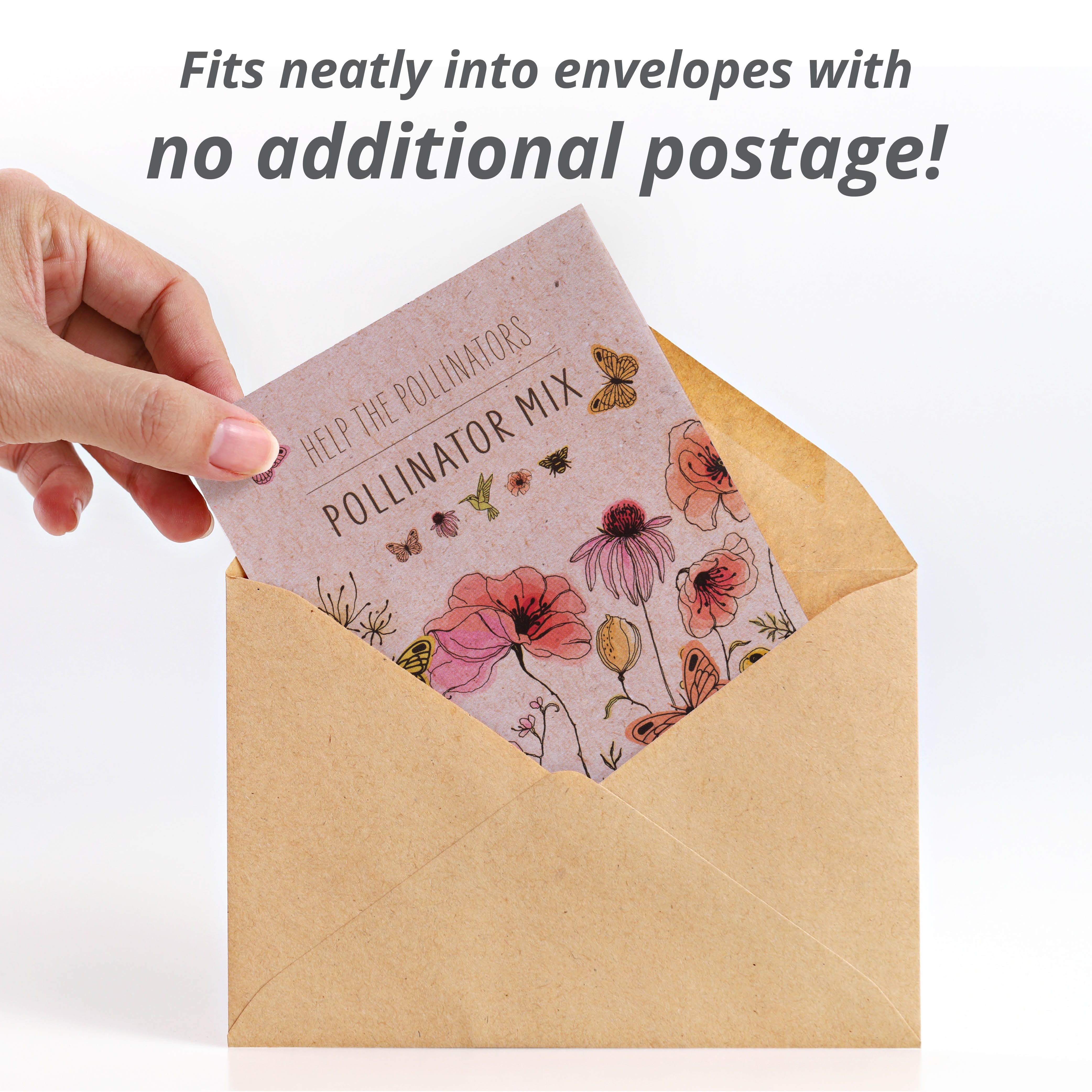 Pollinator Butterfly - Wildflower Mix Seed Packets | Bentley Seeds