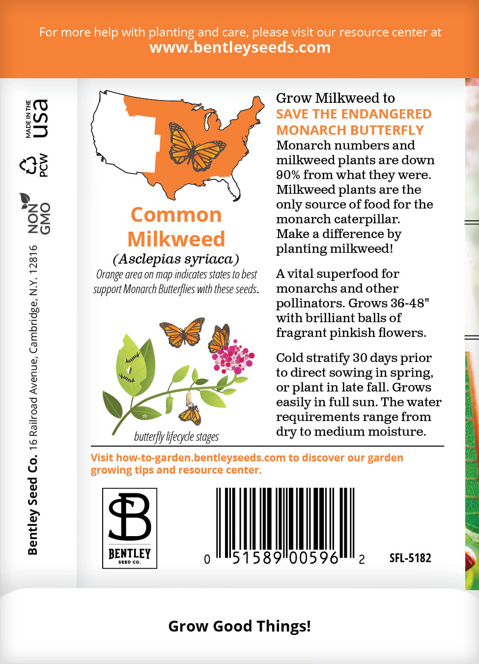 Milkweed, Common Seed Packets Organic Seeds Vibrant Blooms – Bentley Seeds