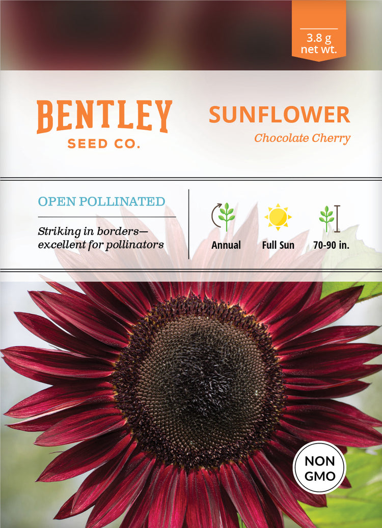 Premium Sunflower Seed Packets for Gardeners & Gifts | Bentley Seeds