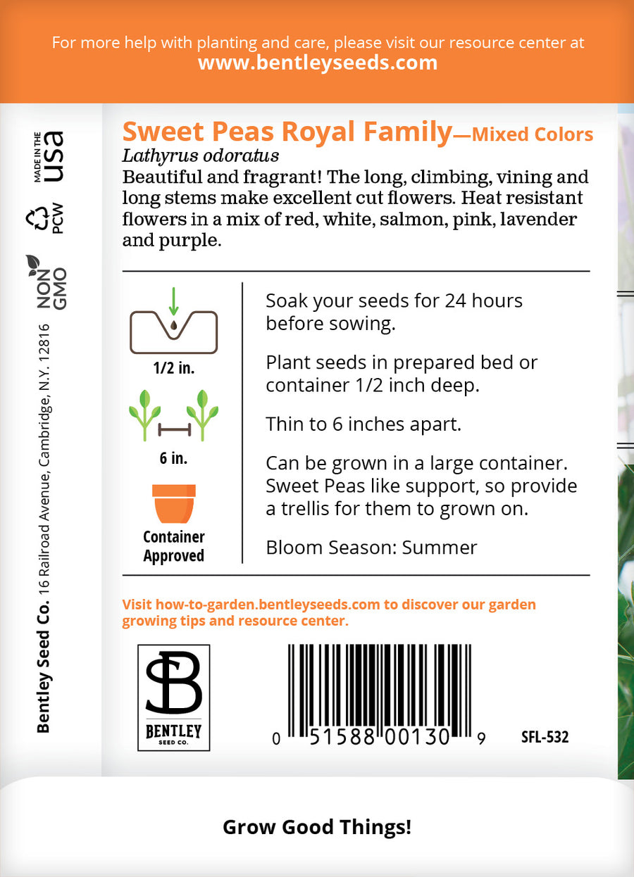 Sweet Pea Flower Seed Packets Heirloom Seeds Easy to Grow – Bentley Seeds