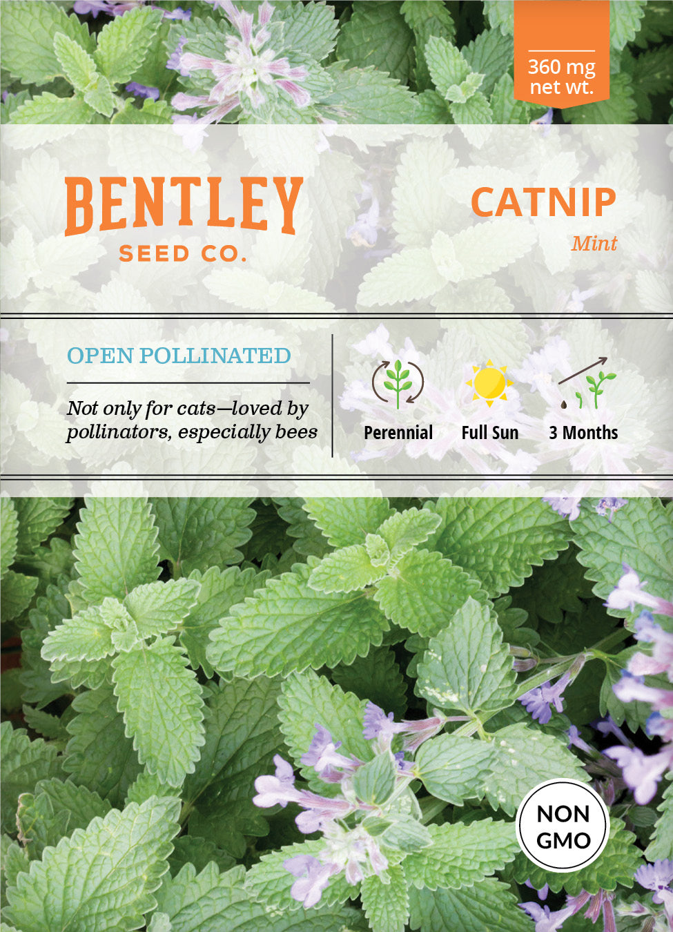Catnip Seed, By The Packet or Bulk - Bentley Seeds