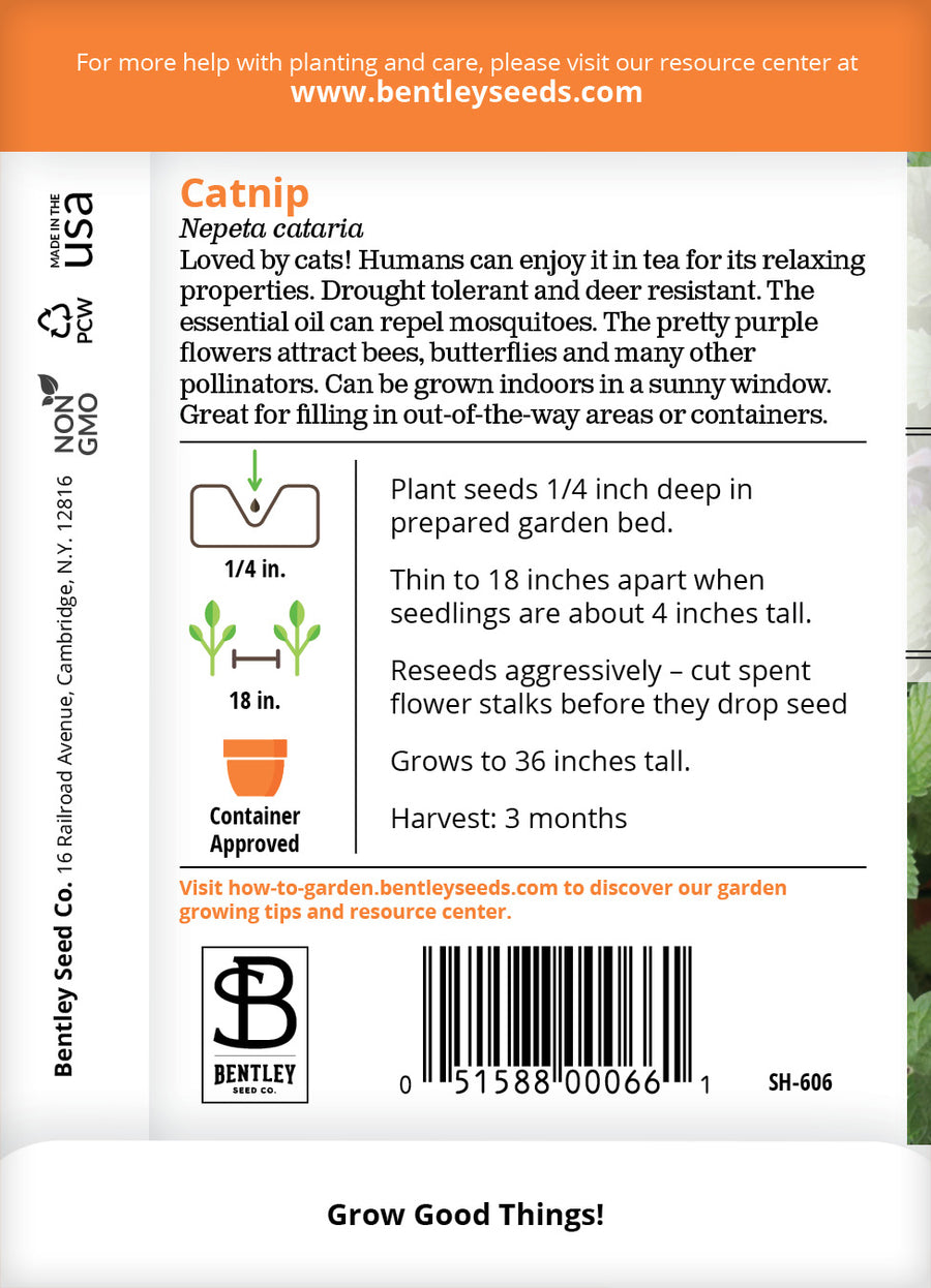 Catnip Seed Packets Heirloom Seeds Fast-Growing – Bentley Seeds
