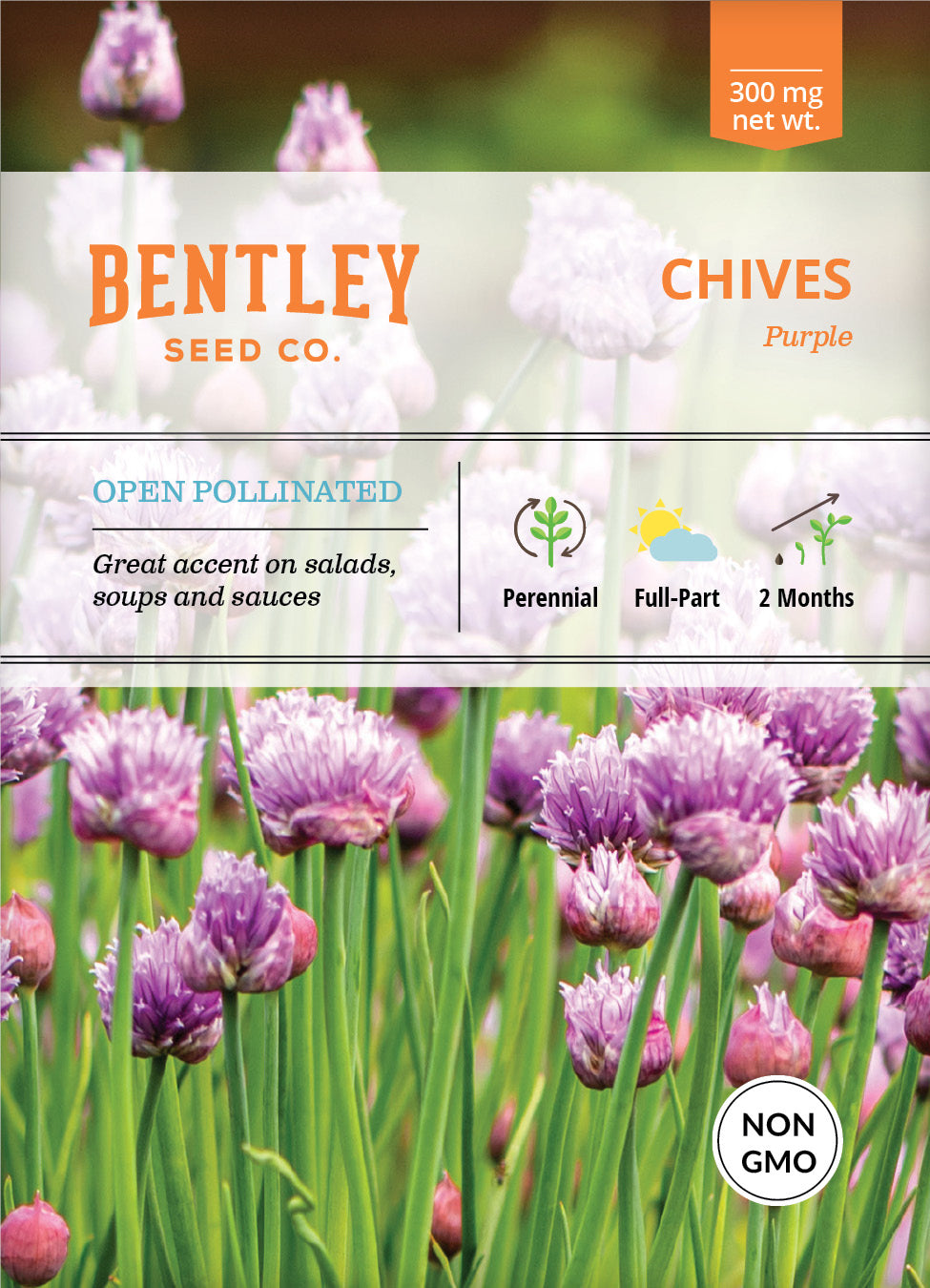Chives Seed Packets Non-GMO Seeds Fast-Growing – Bentley Seeds