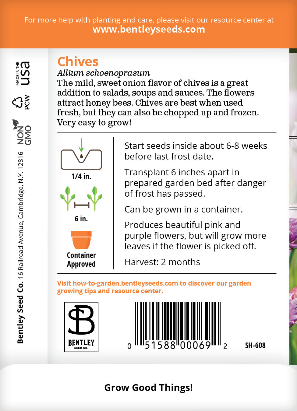 Chives Seed Packets Non-GMO Seeds Fast-Growing – Bentley Seeds
