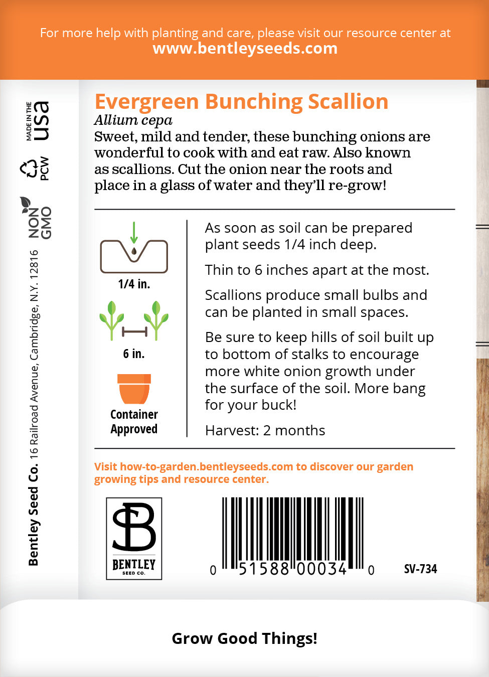 Onion, Evergreen Bunching Seed Packets – Bentley Seeds