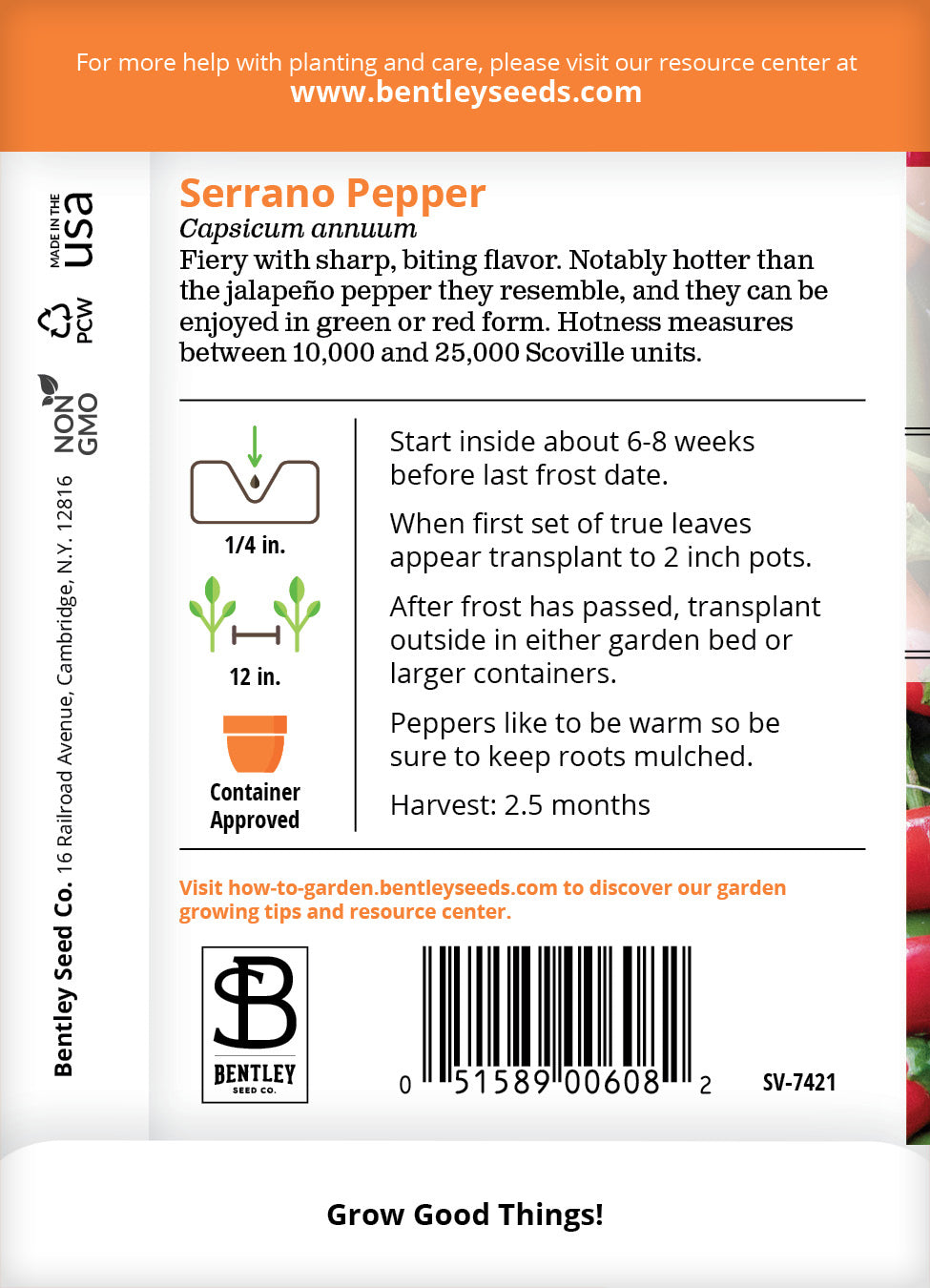 Pepper, Serrano Seed Packets | Bentley Seeds