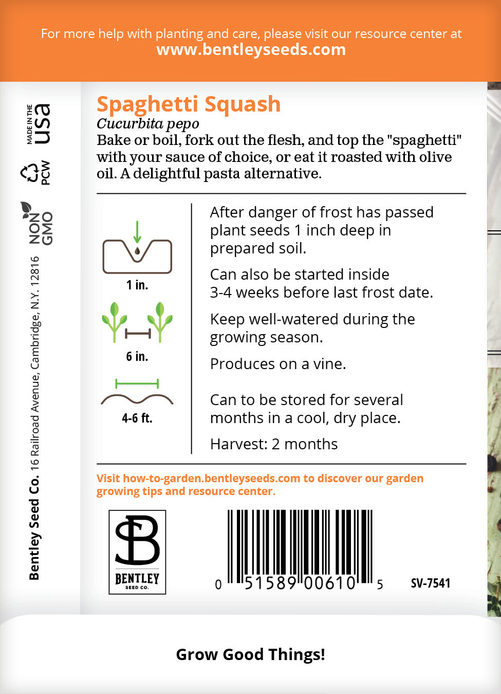 Squash, Spaghetti Seed Packets – Bentley Seeds
