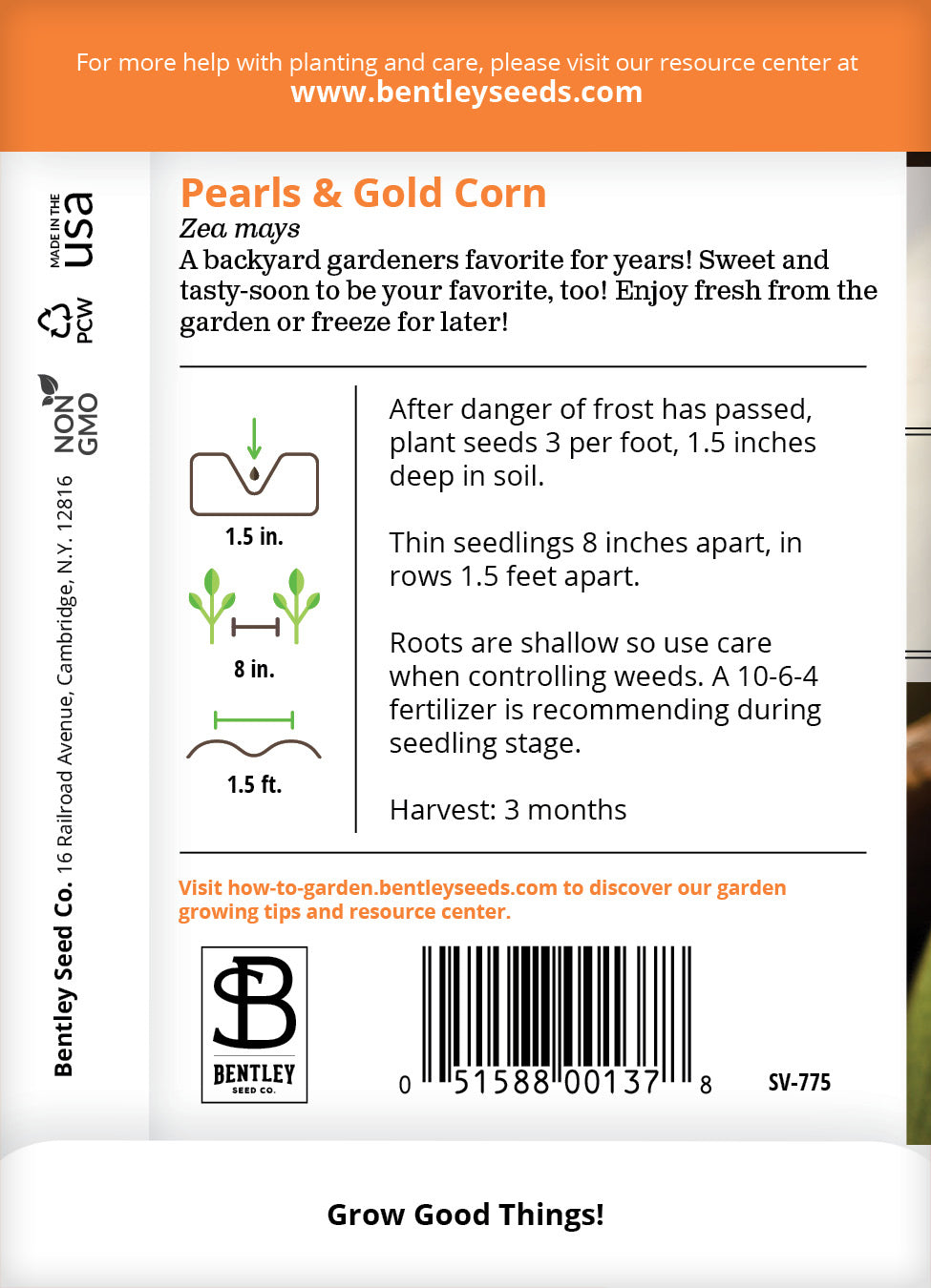 Corn, Pearls and Gold Seed Packets | Bentley Seeds
