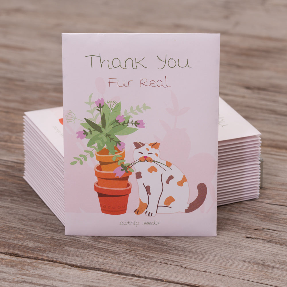 Thank You Fur Real - Catnip Seed Packets | Bentley Seeds