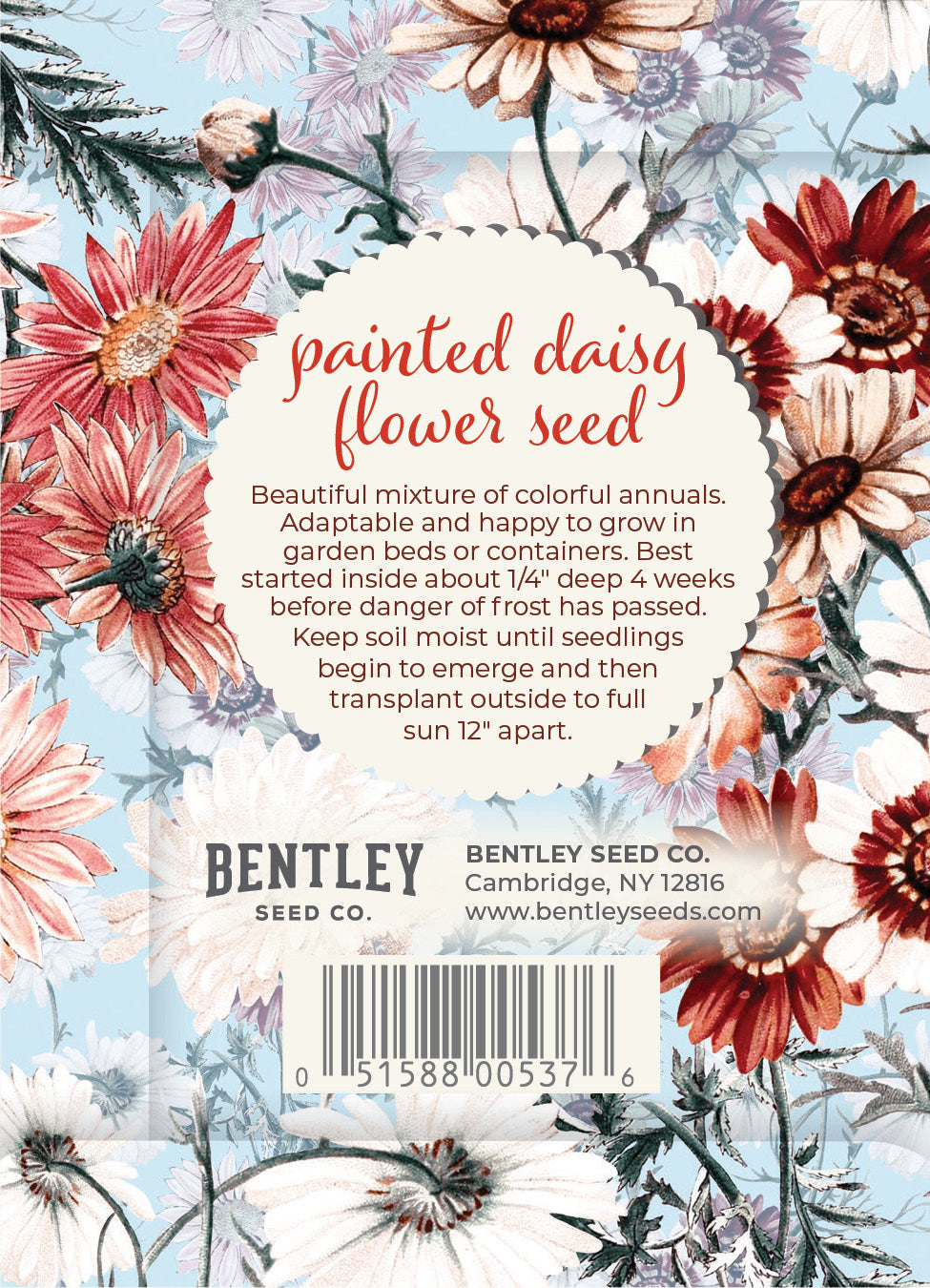 All You Need Is Love - Painted Daisies Seed Packets | Bentley Seeds