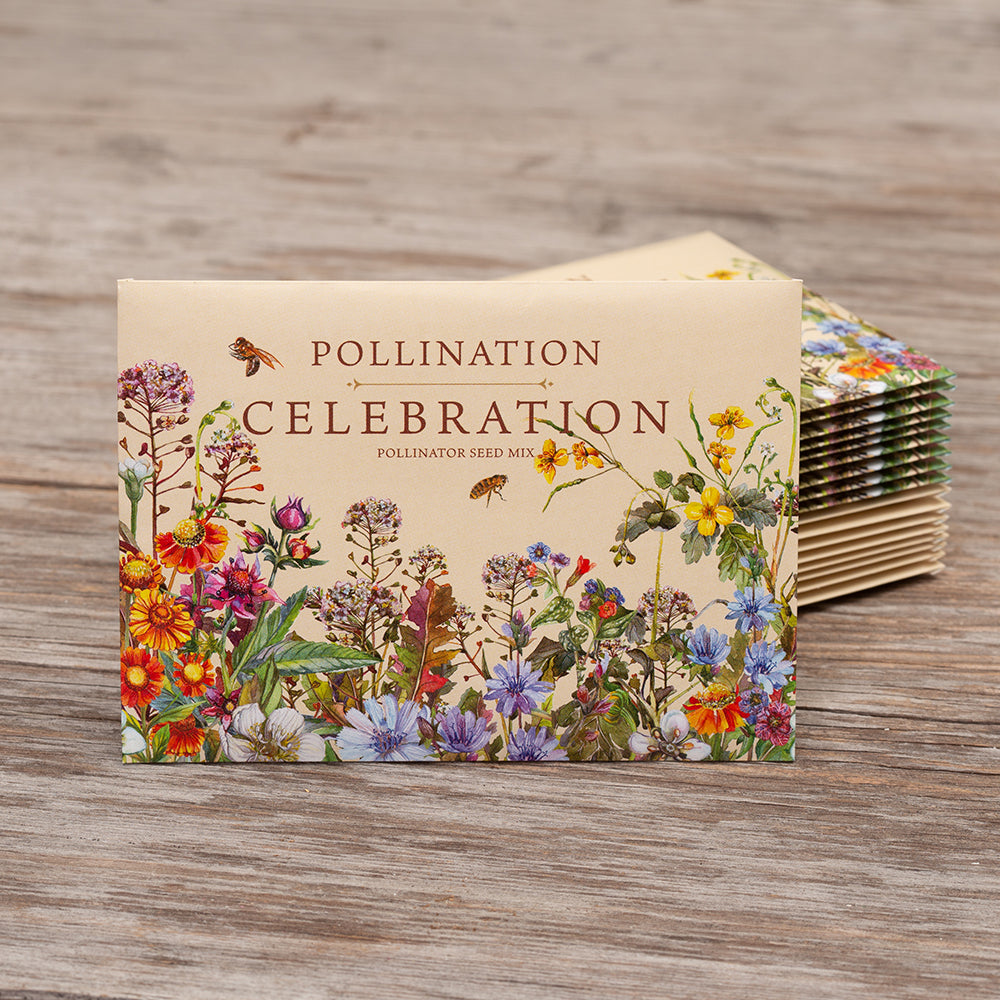 Pollination Celebration - Pollinator Wildflower Mix Seed Packets ...