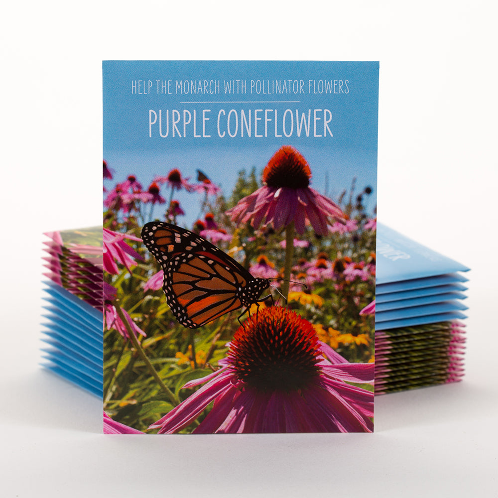 250 Piece Pollinator Favor Seed Packet Retail POS Corrugated Display ...