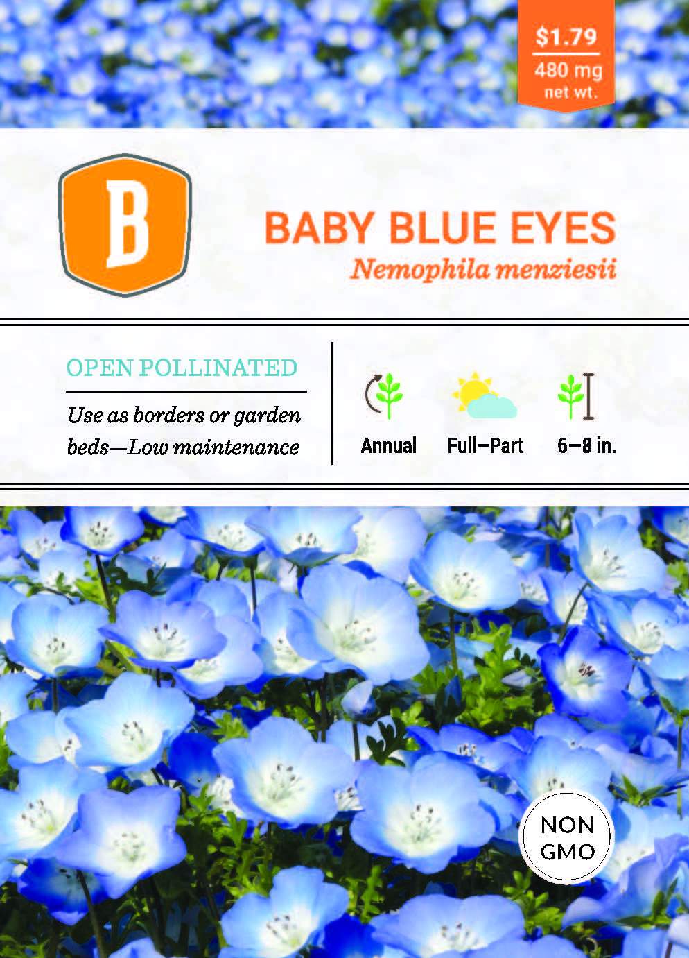 Baby Blue Eyes Seed Organic Seeds Fast-Growing – Bentley Seeds